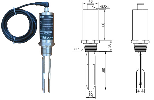 Tuning Fork Level Switch